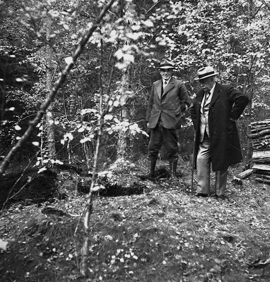 Två äldre män som står och pratar med varandra i skogen. - Kulturparken ...