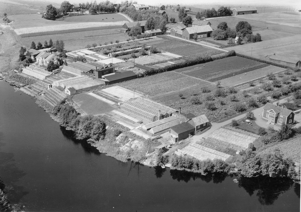 Nedre Åsbyggeby, Valbo, Gästrikland. Solviks Handelsträdgård ...