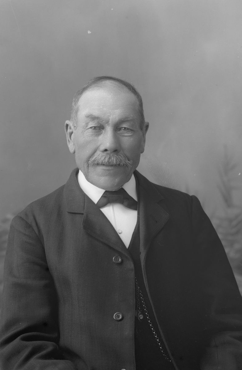 Karl Johan Andersson, Lindesberg - Länsmuseet Gävleborg / DigitaltMuseum