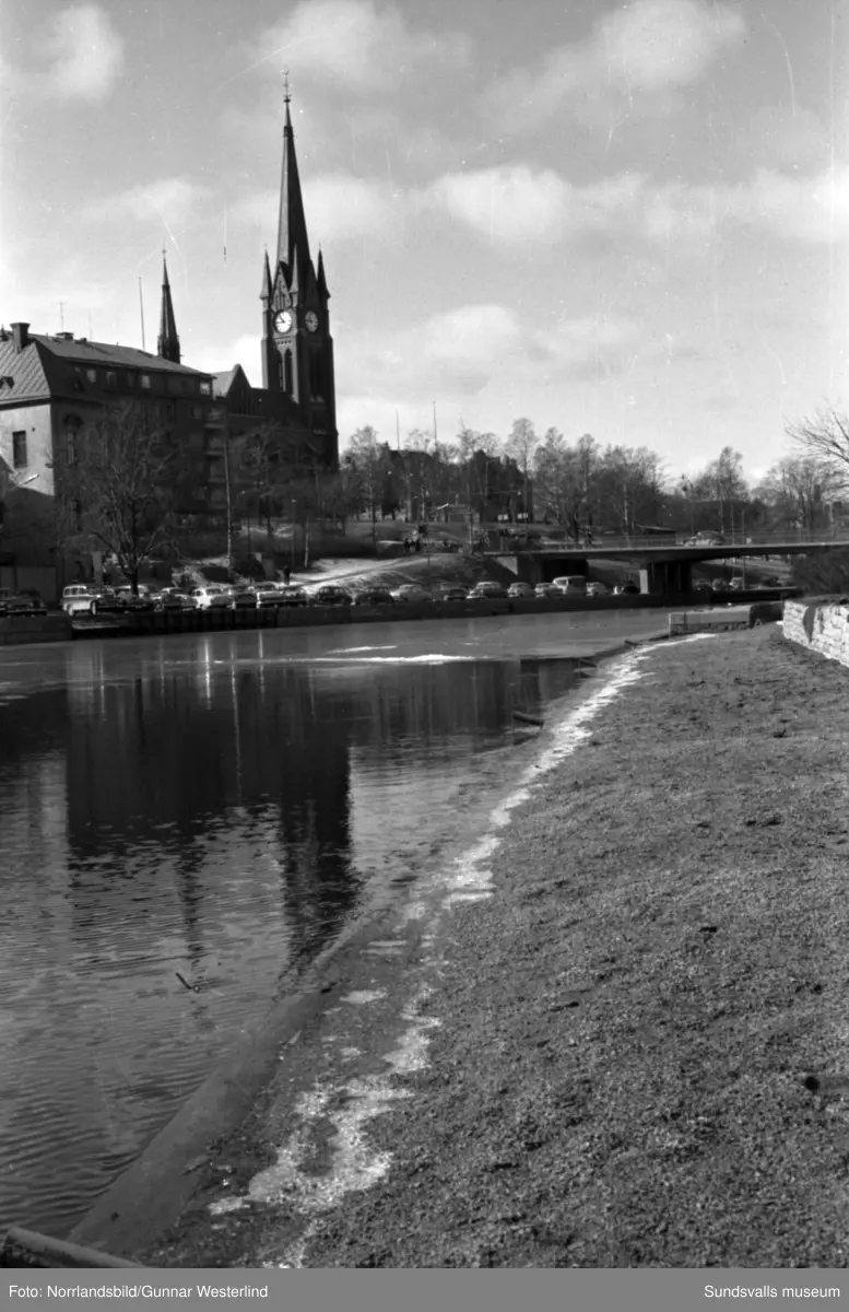 Vårflod med högt vattenstånd i Selångersån. Bilder från områdena på ...