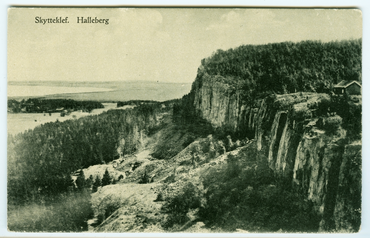 Skytteklef Halleberg - Vänersborgs museum / DigitaltMuseum