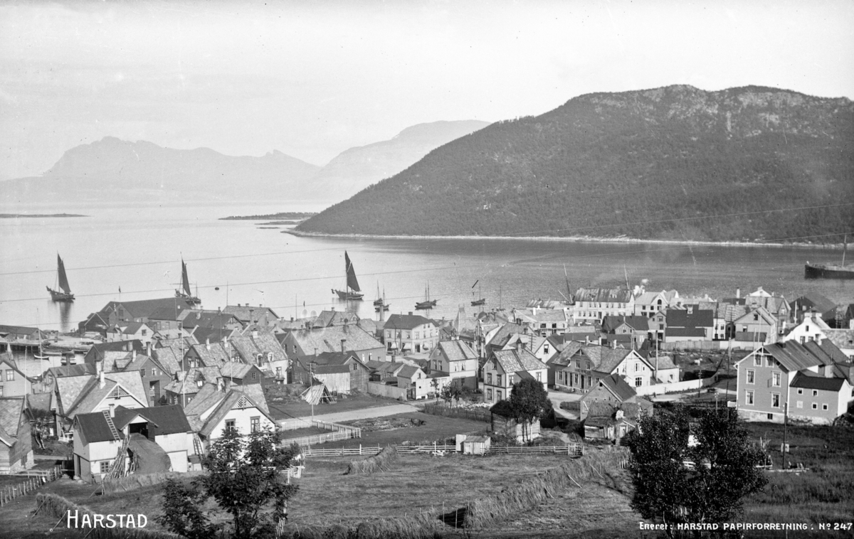 Bebyggelse i Harstad sentrum. Hesjer i forgrunnen, Gangsås i bakgrunnen ...