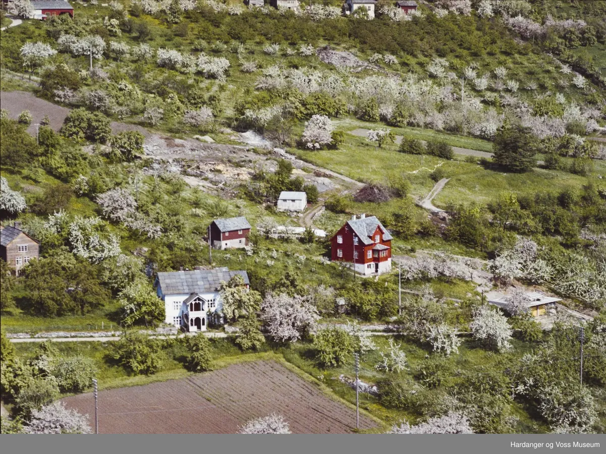 Flyfoto, Eidnes - Hardanger og Voss Museum / DigitaltMuseum
