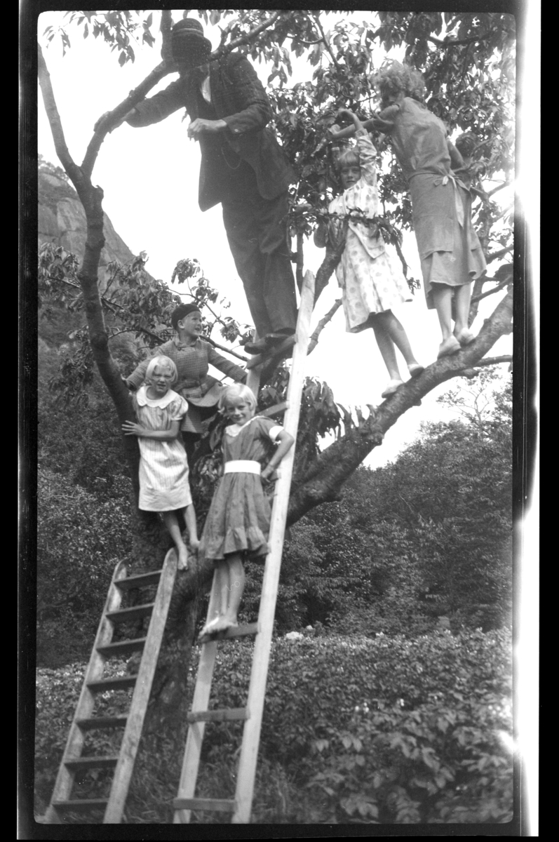Lars Peter Sundt med alpelue, står i et morelltre sammen med noen andre ...