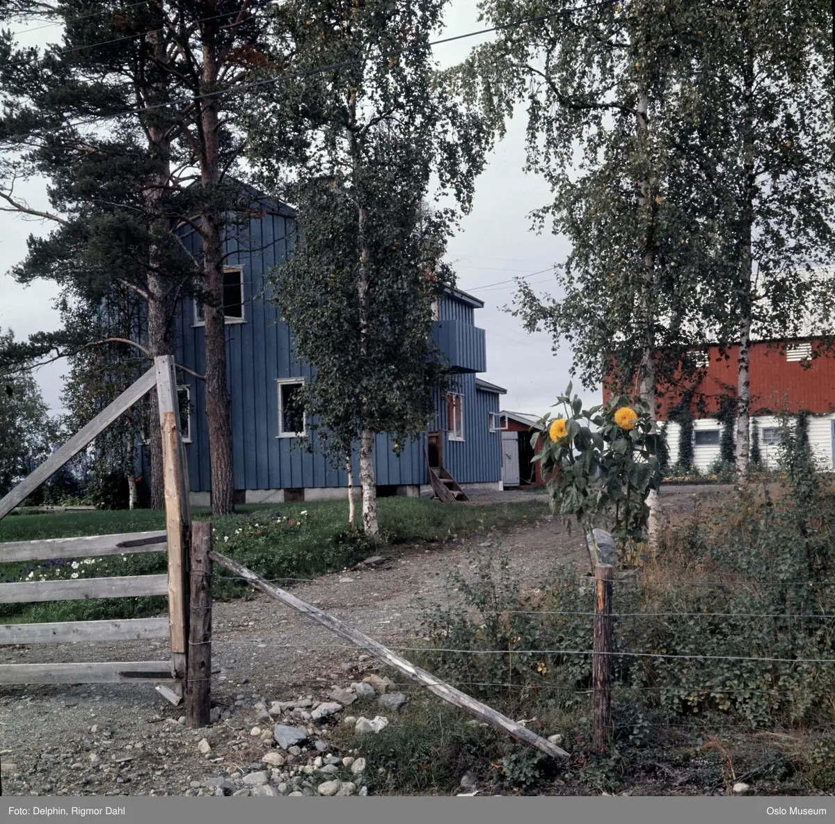Hos Walter Johansen på Grorud gård i Pasvikdalen. - Oslo Museum ...