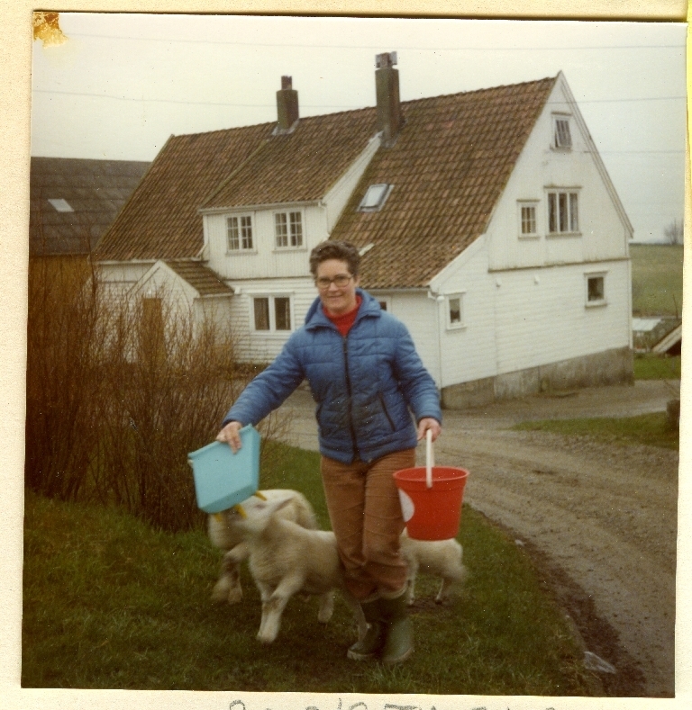 Inger Marie Holen f. Krogedal (30.10.1937 - ) steller kopplamma våren ...