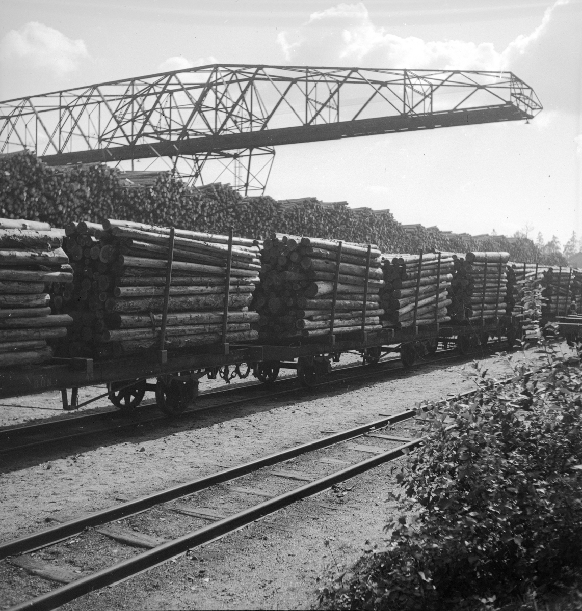 Vagnar lastade med massaved. Brokran i bakgrunden - Järnvägsmuseet ...