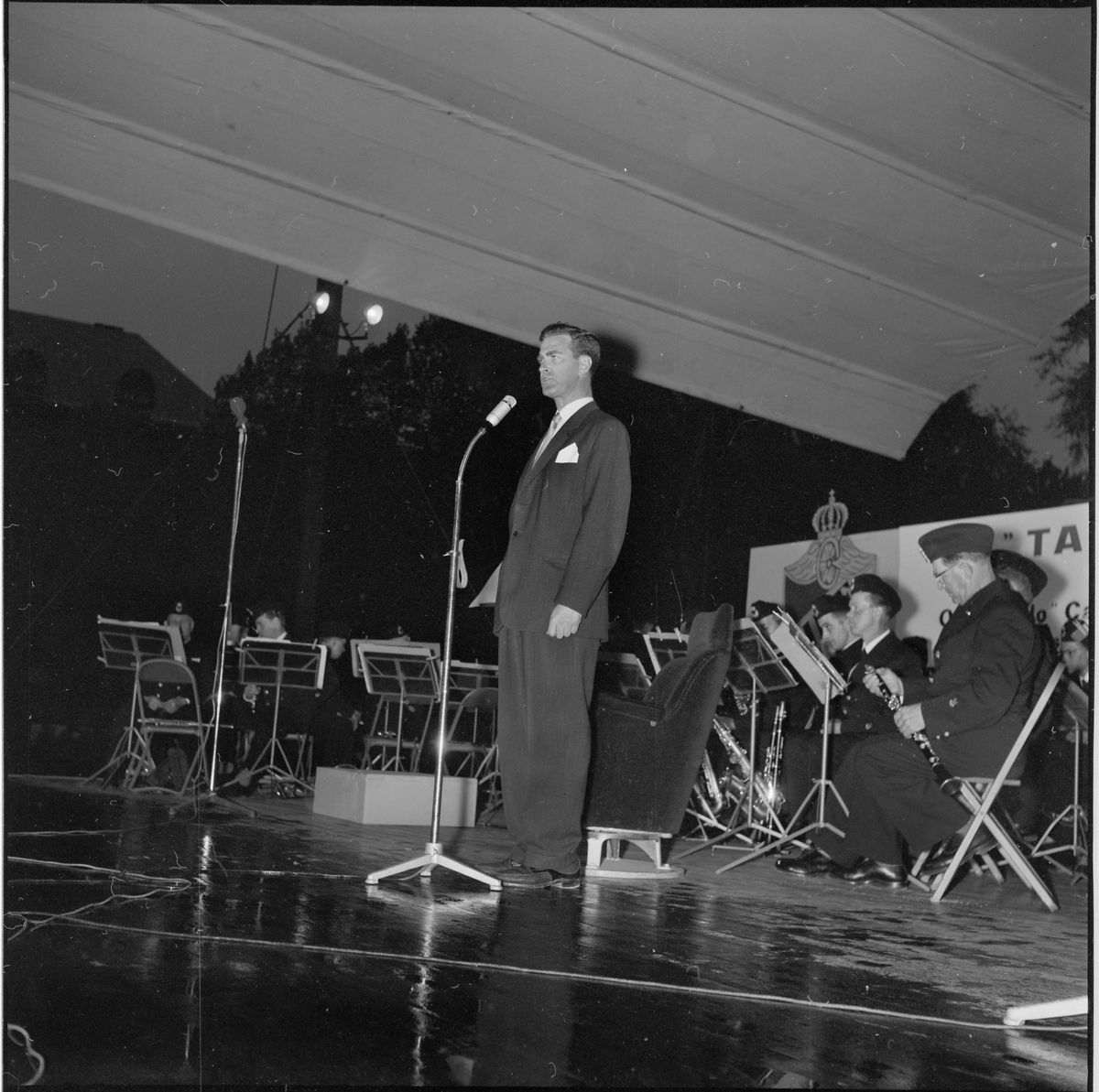 Statens Järnvägar, SJ gör reklam för Nils Holgersson turen ...