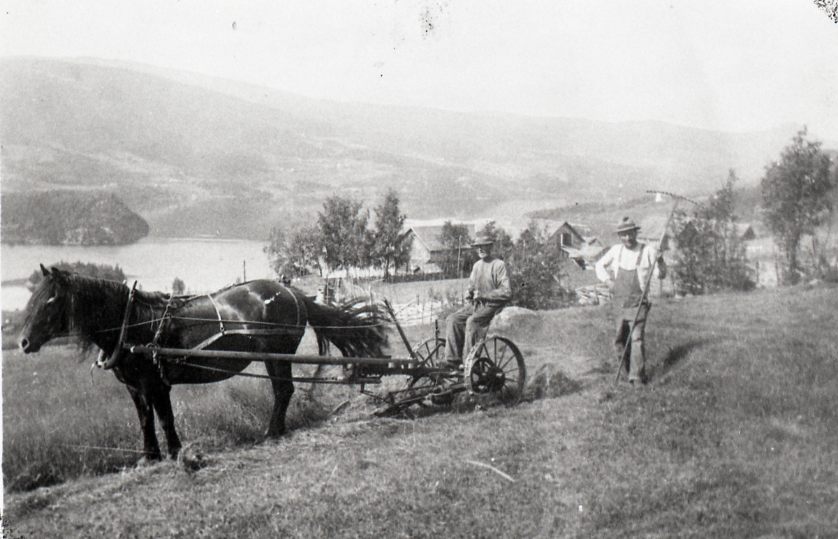 Endre og Knut Hauge. - Valdres Folkemuseum / DigitaltMuseum
