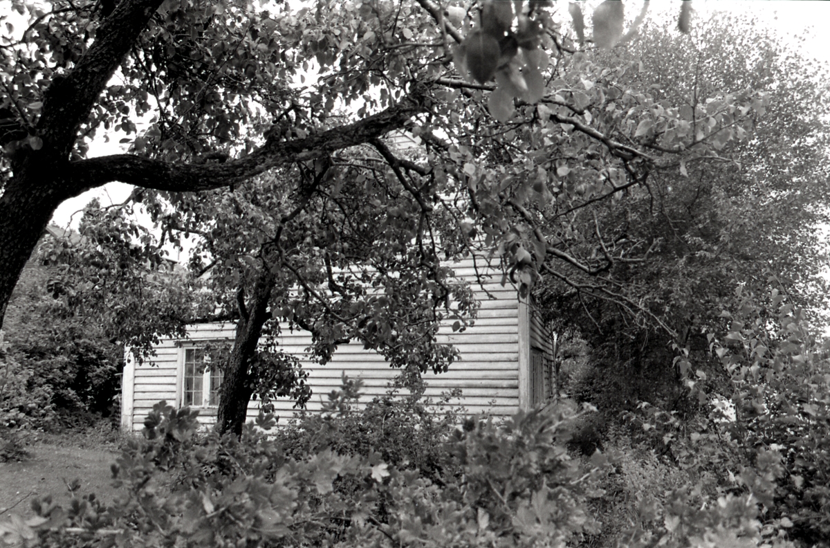 Våningshus, ved Stranda. Kalt skarprettarhuset. Det sto litt øst for ...