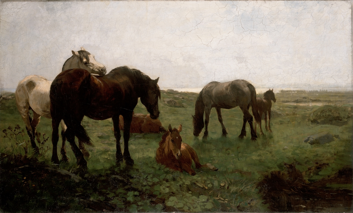 Hester [Maleri] - Nasjonalmuseet, billedkunstsamlingene / DigitaltMuseum