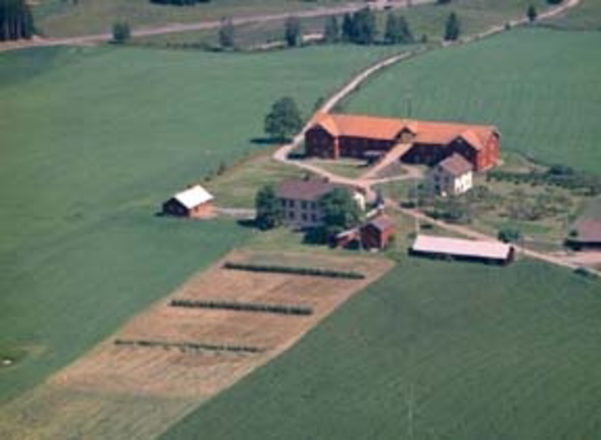 Flyfoto av Halset gard, Furnes, Ringsaker. - Anno Domkirkeodden ...