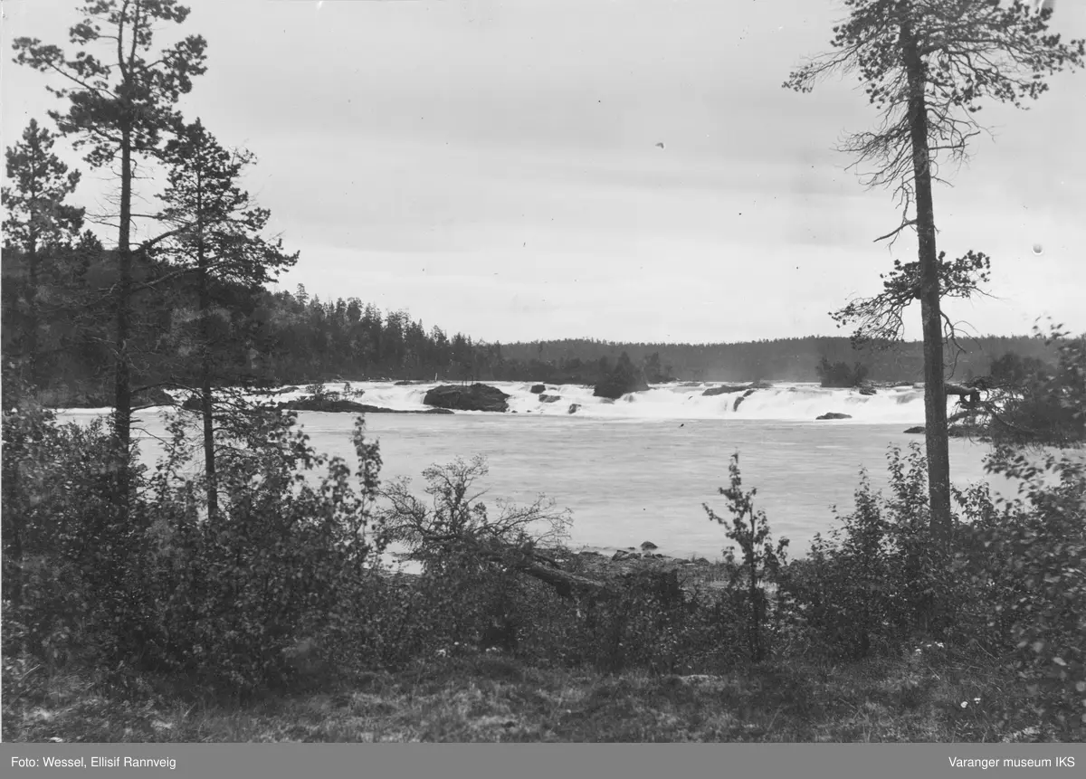 Skogfoss (Männikafoss) i Pasvikdalen. - Grenselandmuseet / DigitaltMuseum