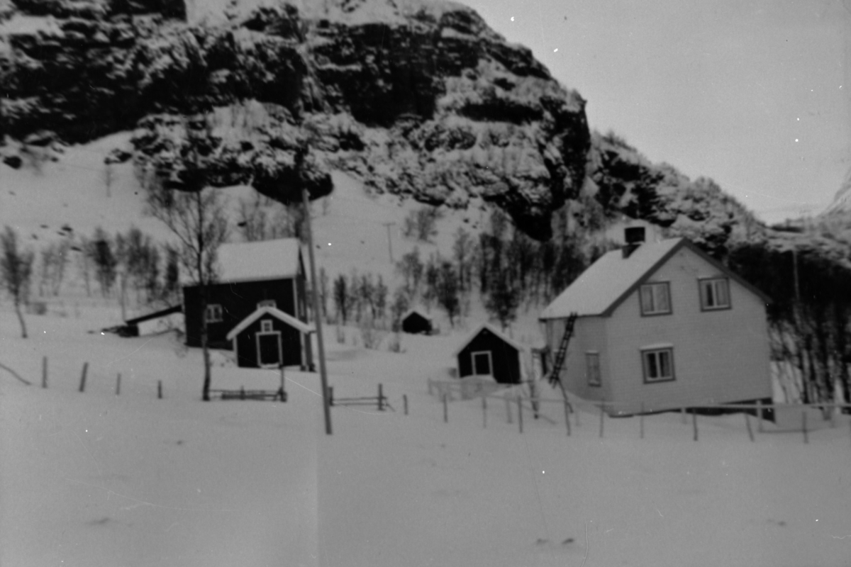 Bosted - Nord-Troms Museum / DigitaltMuseum