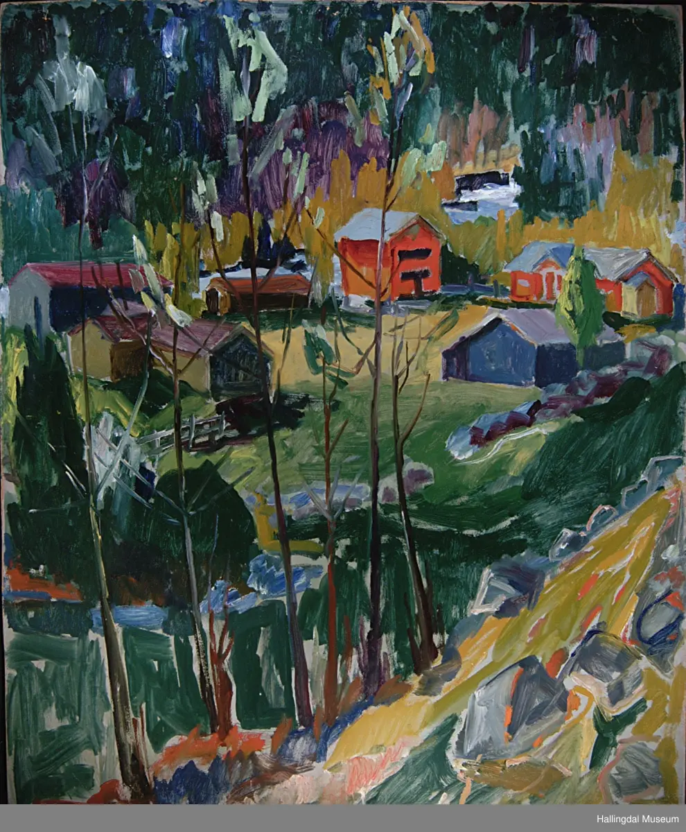 Bilde - Hallingdal Museum / DigitaltMuseum