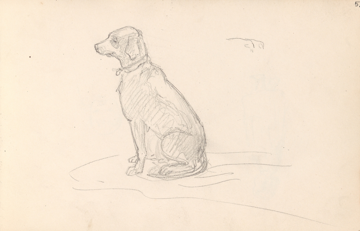 Hund [Tegning] - Nasjonalmuseet, billedkunstsamlingene / DigitaltMuseum