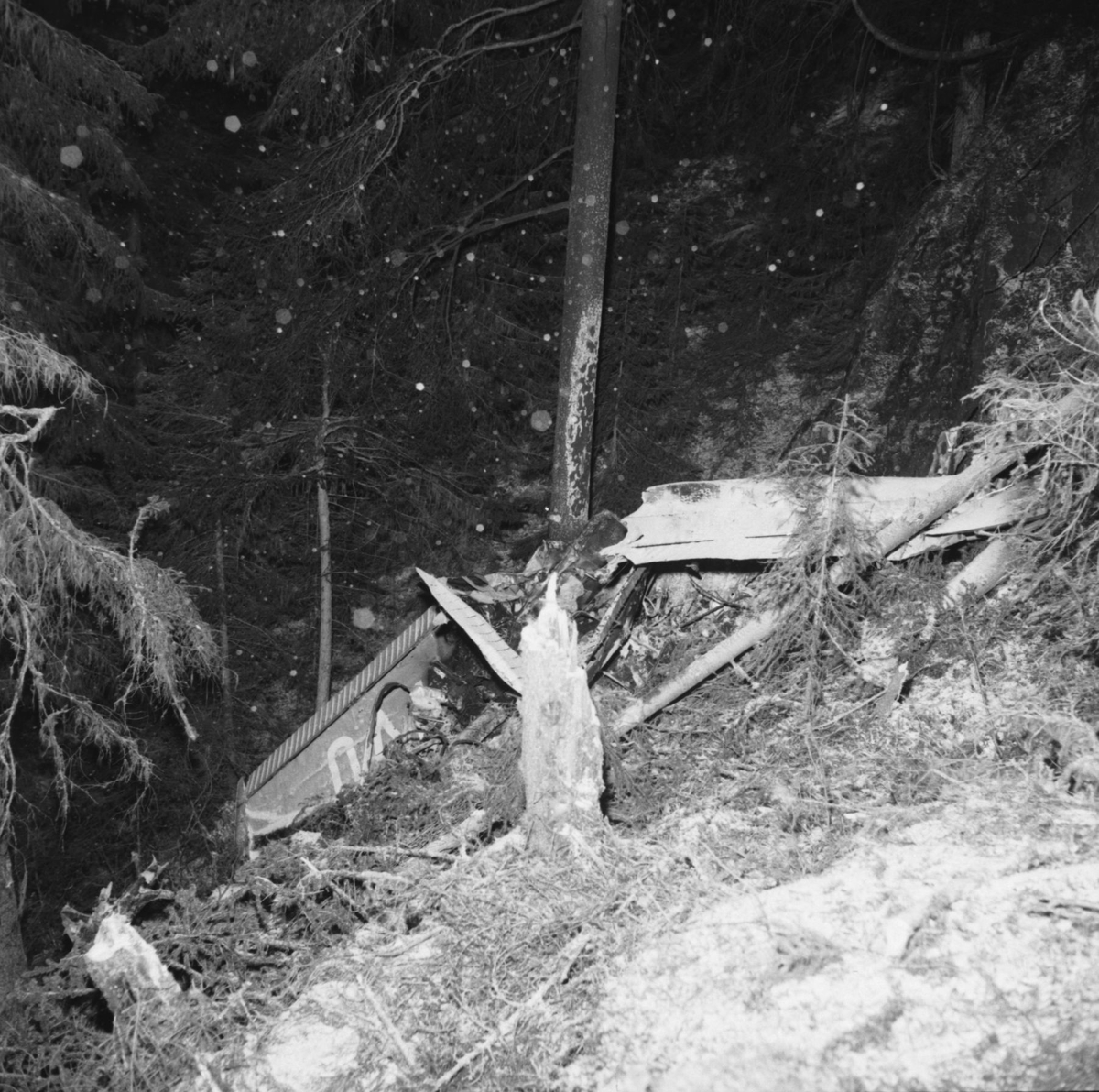 Flyulykke i Ålen - Sverresborg Trøndelag Folkemuseum / DigitaltMuseum